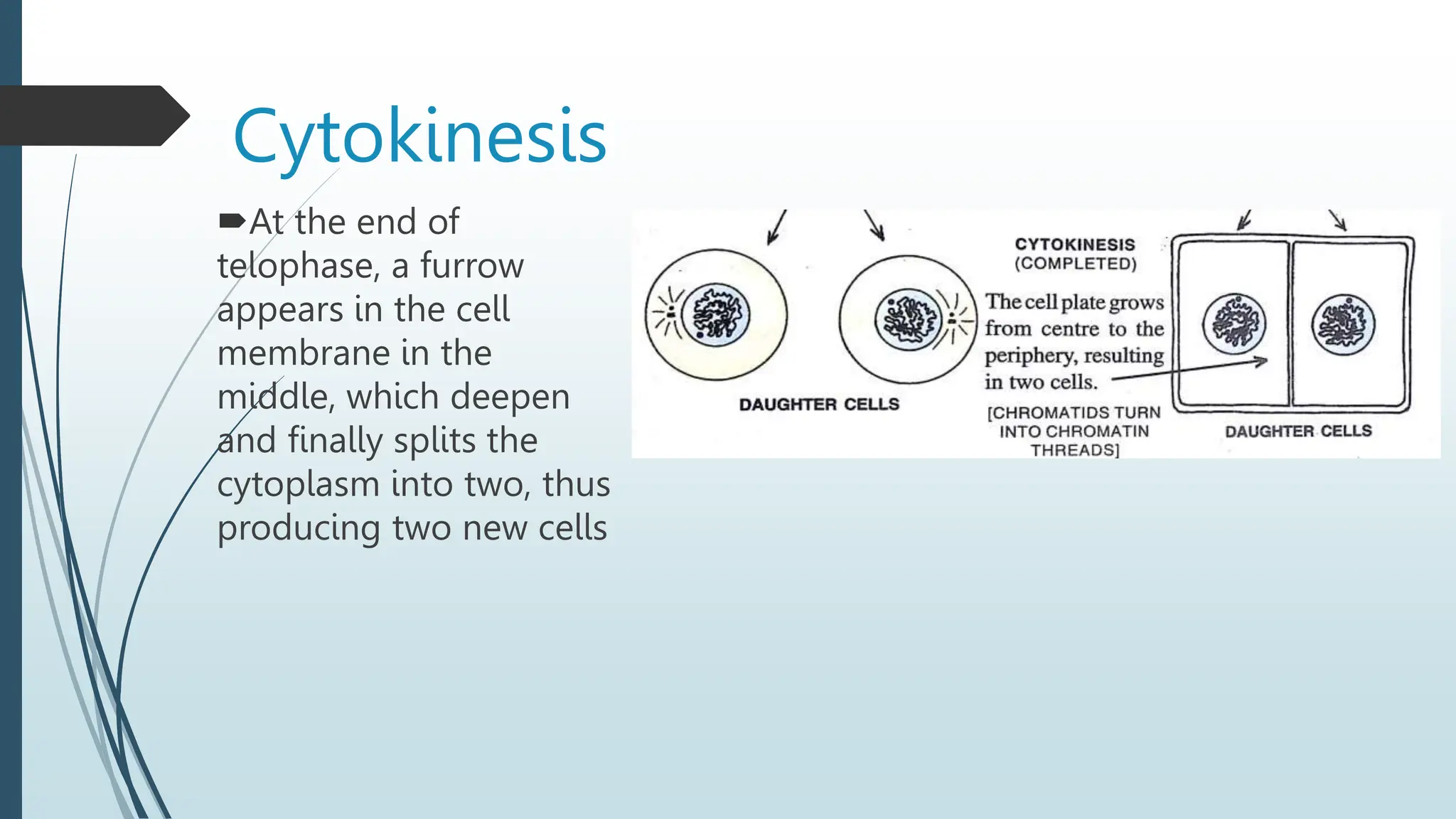 structure of chromosome ,cell cycle and cell.pptx