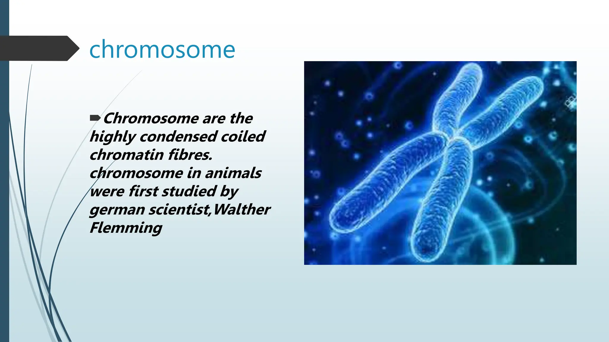 structure of chromosome ,cell cycle and cell.pptx