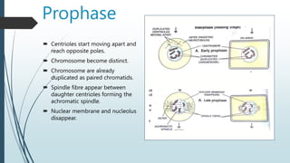 structure of chromosome ,cell cycle and cell.pptx