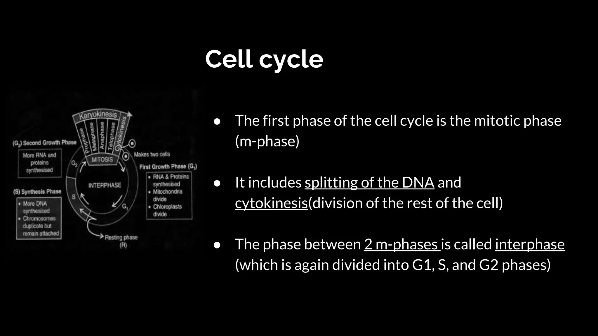 Structure of chromosome, cell cycle and cell division | PPTX