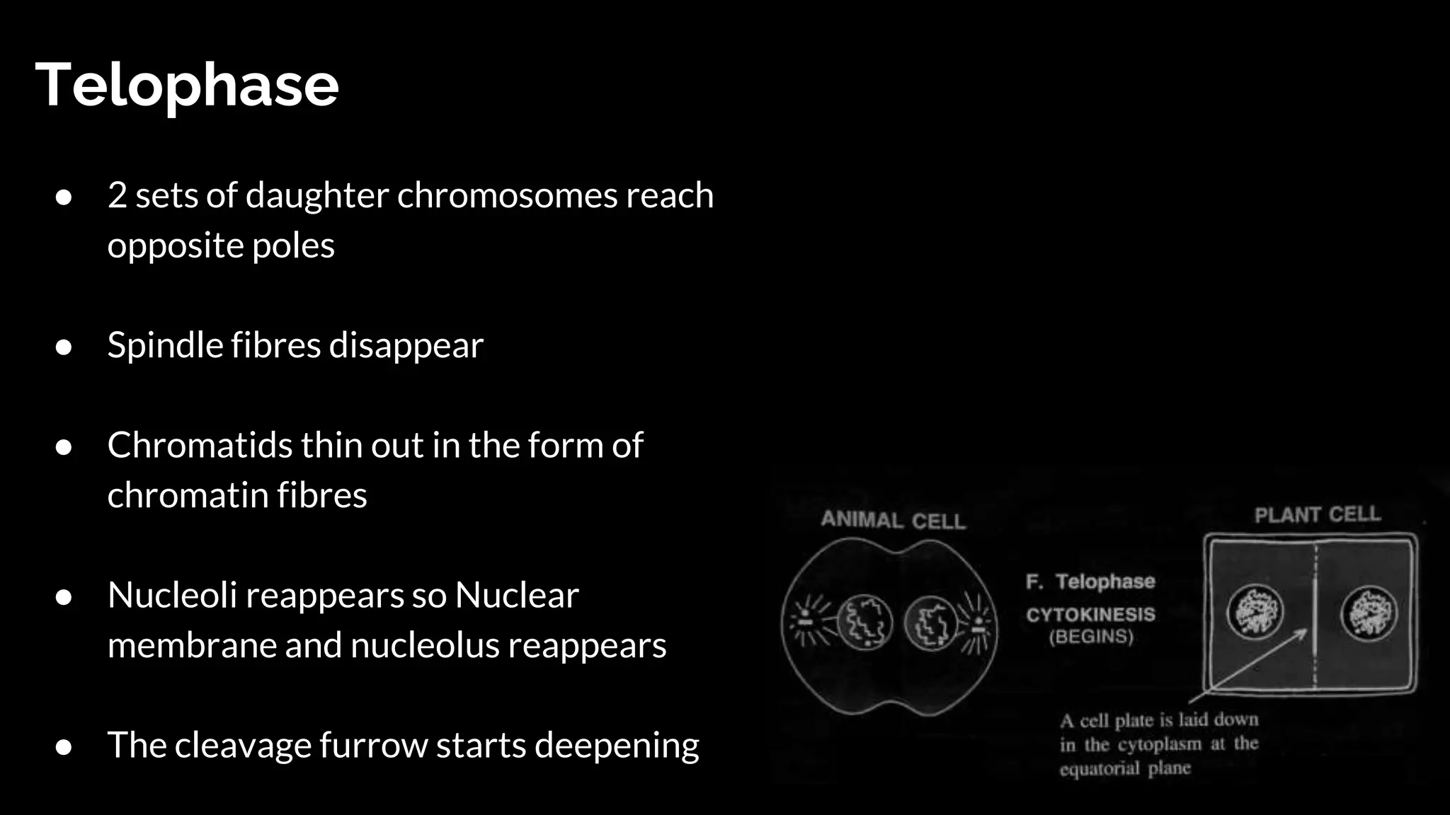 Structure of chromosome, cell cycle and cell division | PPTX