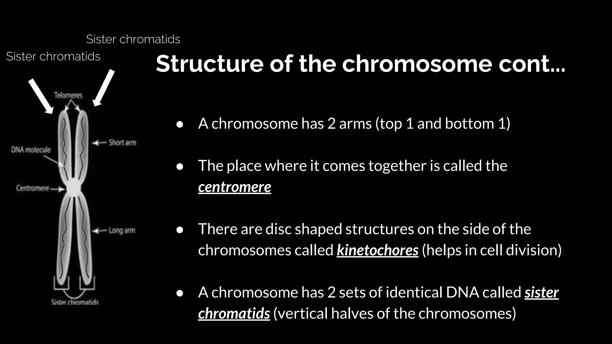 Structure of chromosome, cell cycle and cell division | PPTX