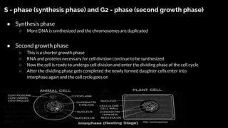 Structure of chromosome, cell cycle and cell division | PPTX