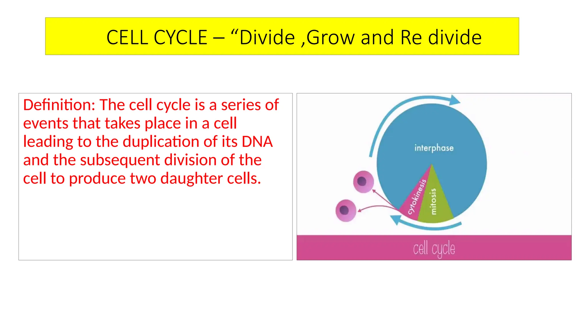 Structure of Chromosome, Cell cycle and Cell Division.pptx