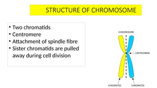Structure of Chromosome, Cell cycle and Cell Division.pptx