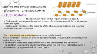 Structure of chromosome chandu 1 | PPTX