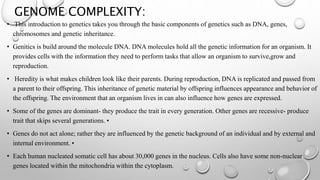 Structure of chromosome chandu 1 | PPTX