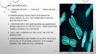 Structure of chromosome chandu 1 | PPTX