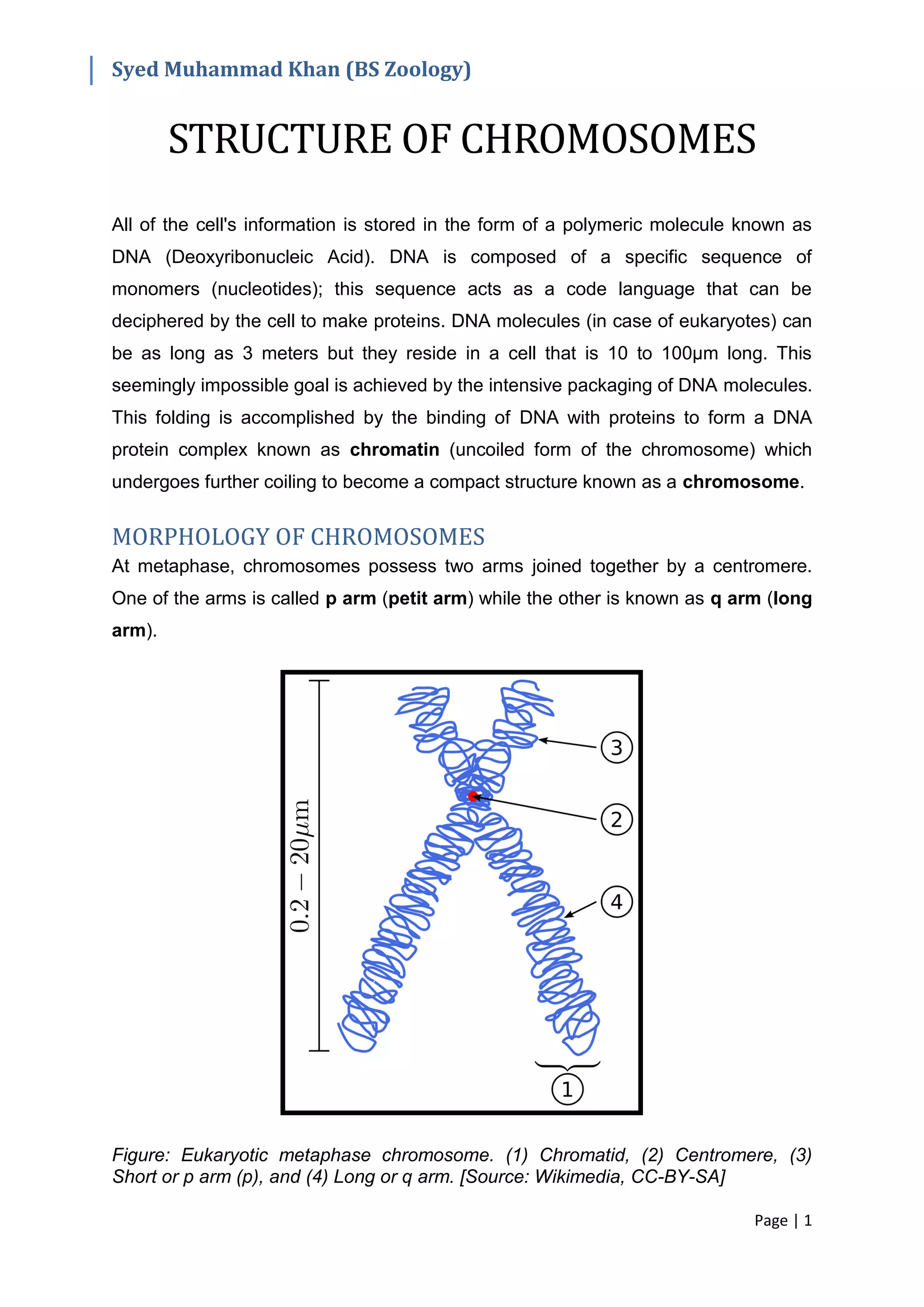 Structure of Chromosomes | PDF