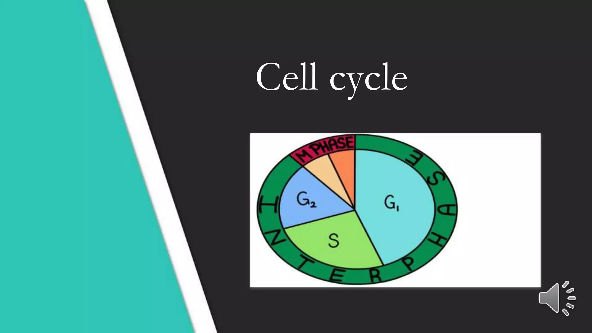 Structure of chromosomes, cell cycle, cell division | PPTX
