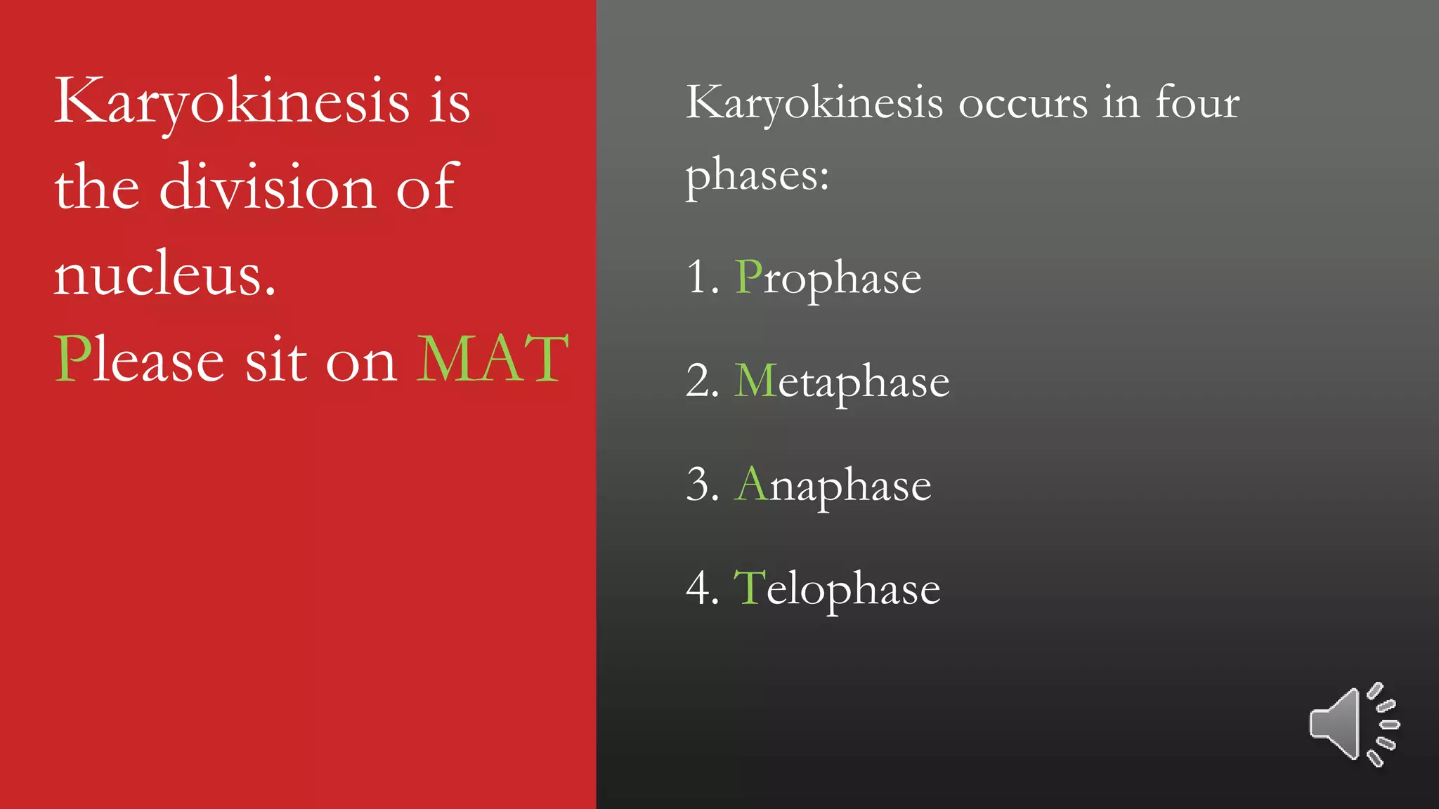 Structure of chromosomes, cell cycle, cell division | PPTX