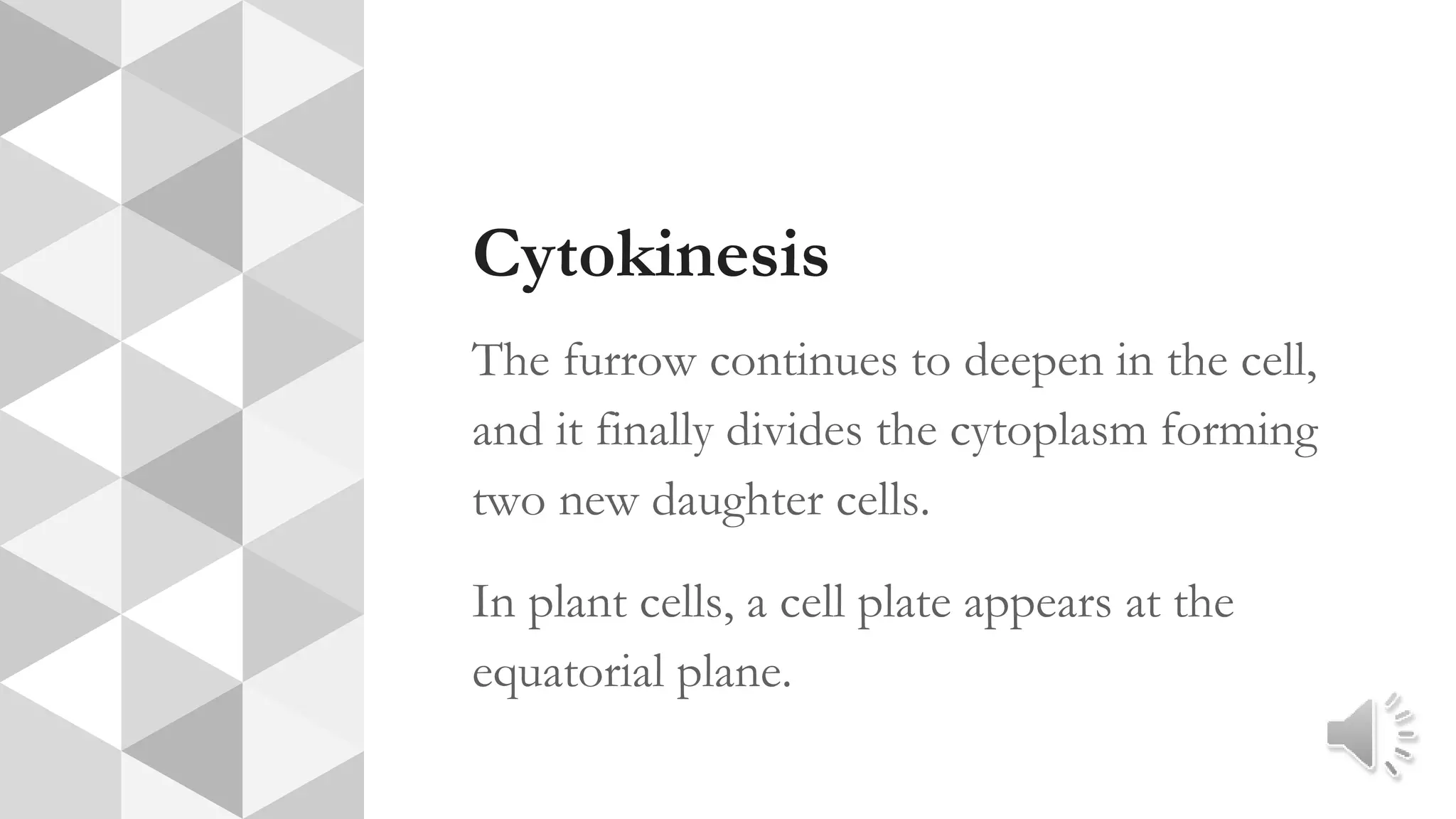 Structure of chromosomes, cell cycle, cell division | PPTX