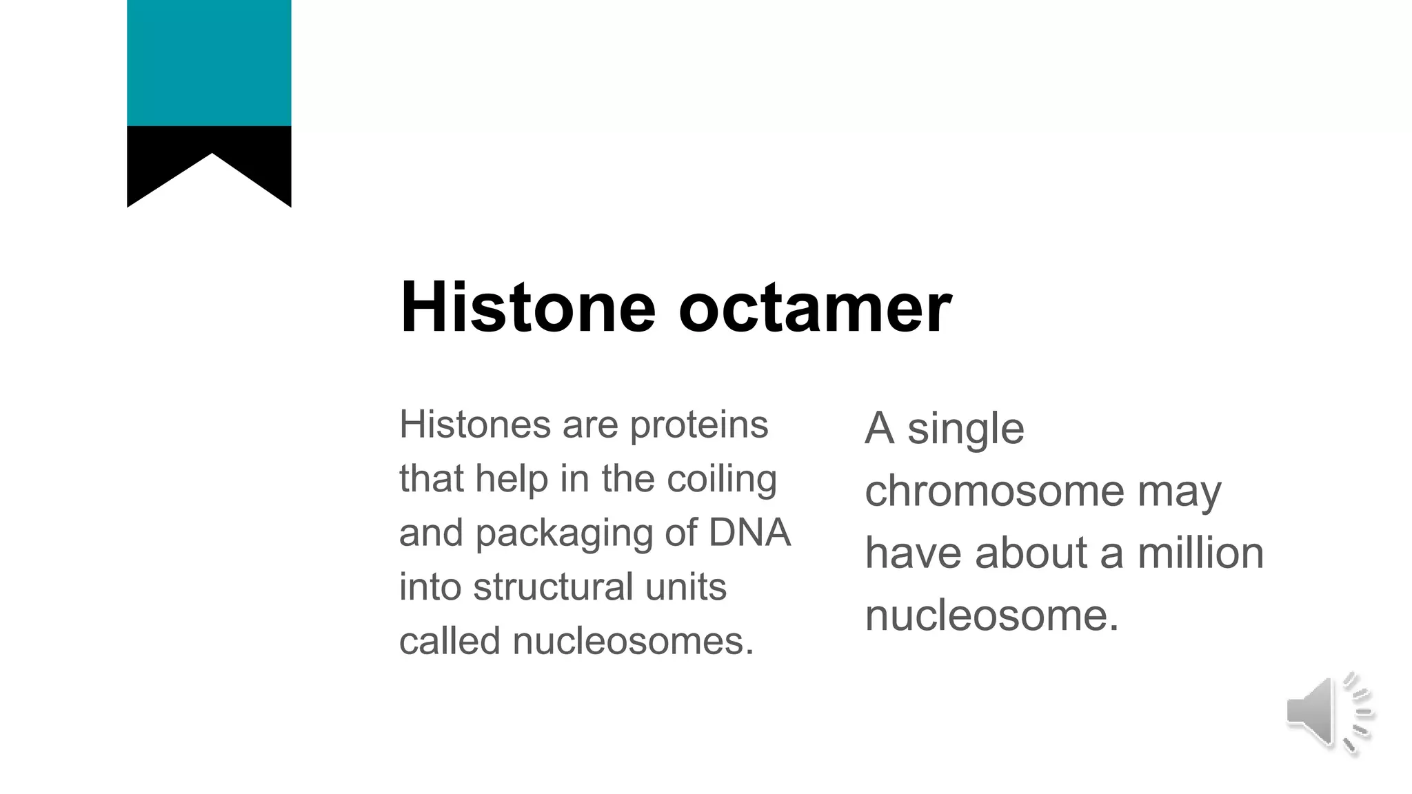 Structure of chromosomes, cell cycle, cell division | PPTX