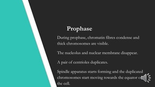 Structure of chromosomes, cell cycle, cell division | PPTX