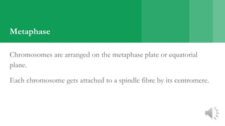 Structure of chromosomes, cell cycle, cell division | PPTX