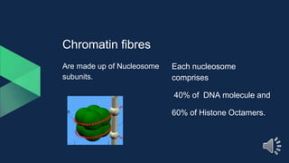 Structure of chromosomes, cell cycle, cell division | PPTX