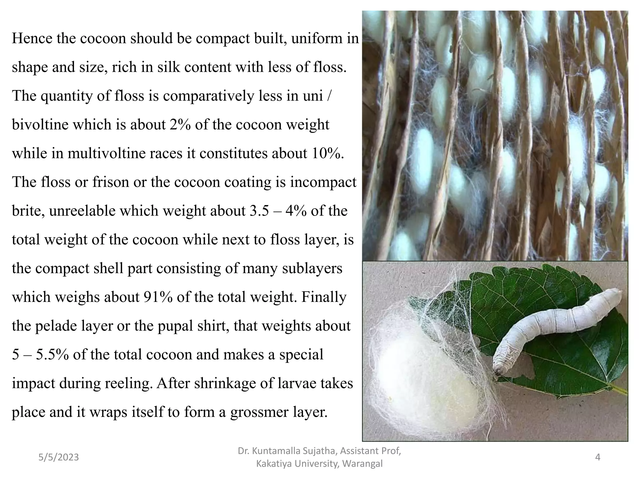 Structure of Cocoon.pptx