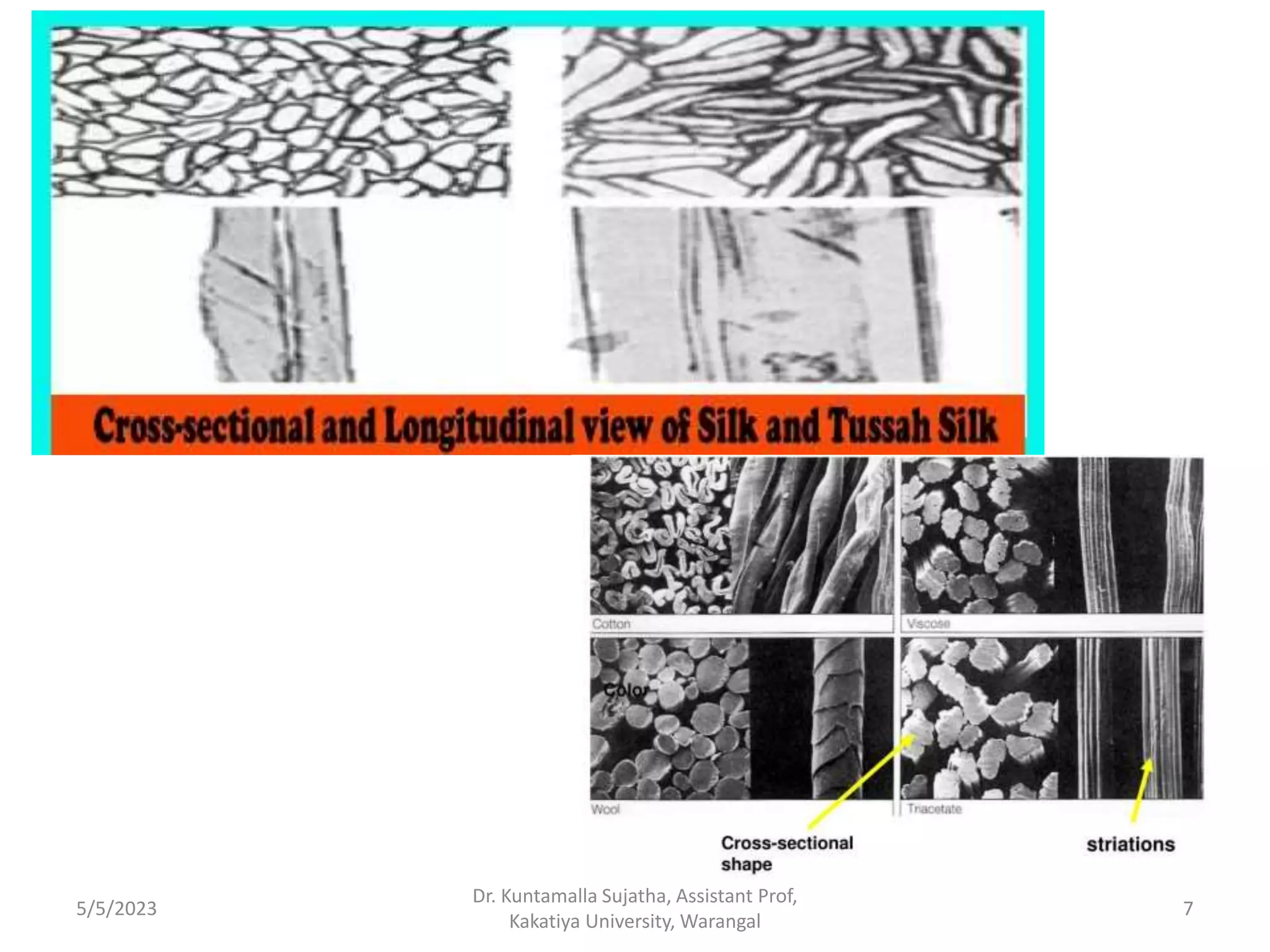 Structure of Cocoon.pptx
