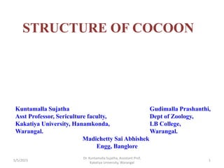 Structure of Cocoon.pptx