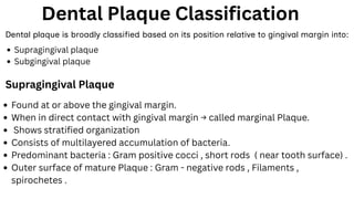 Structure Of Dental Plaque Biofilm.pdf