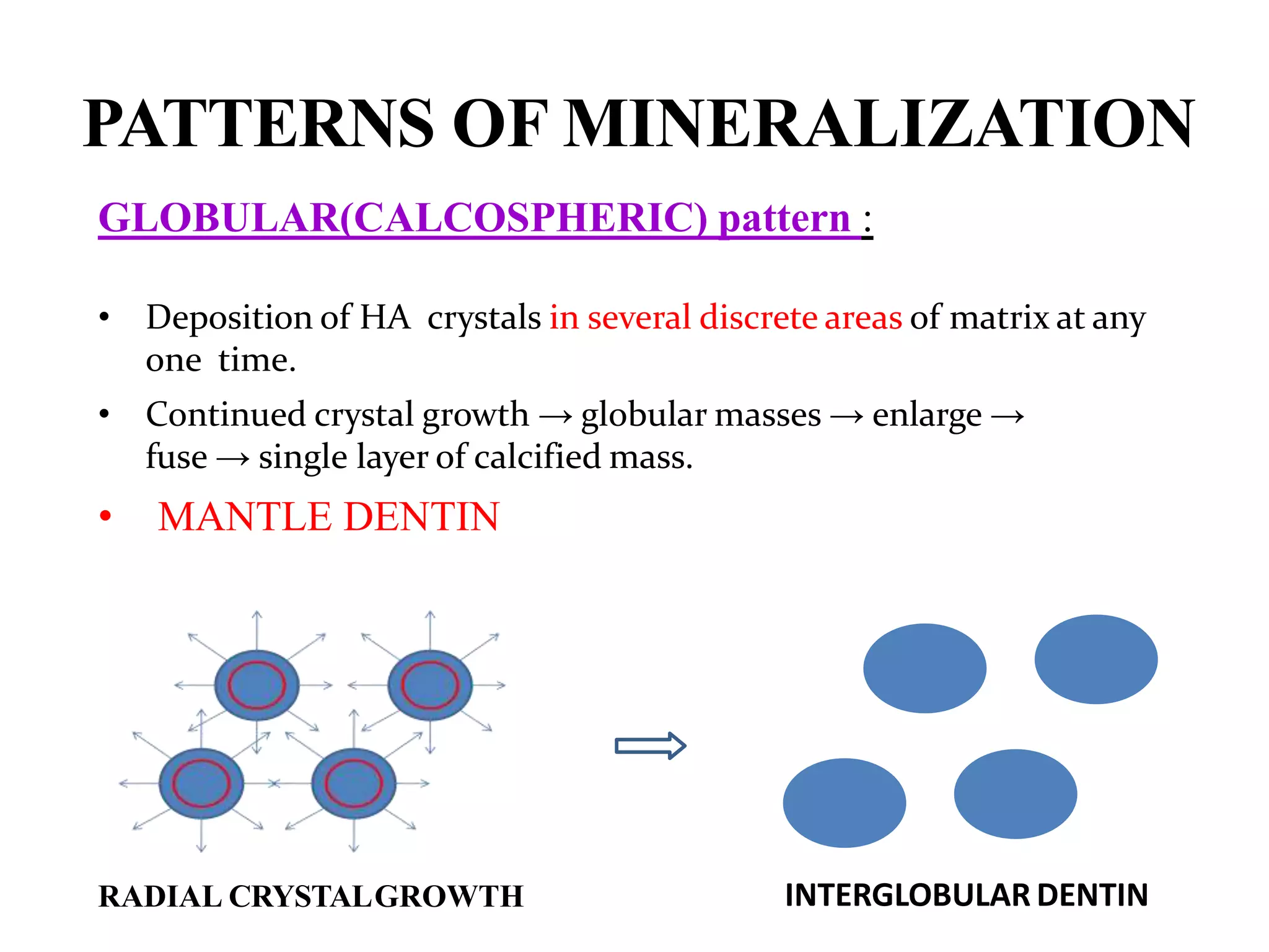 Structure of dentine | PPTX