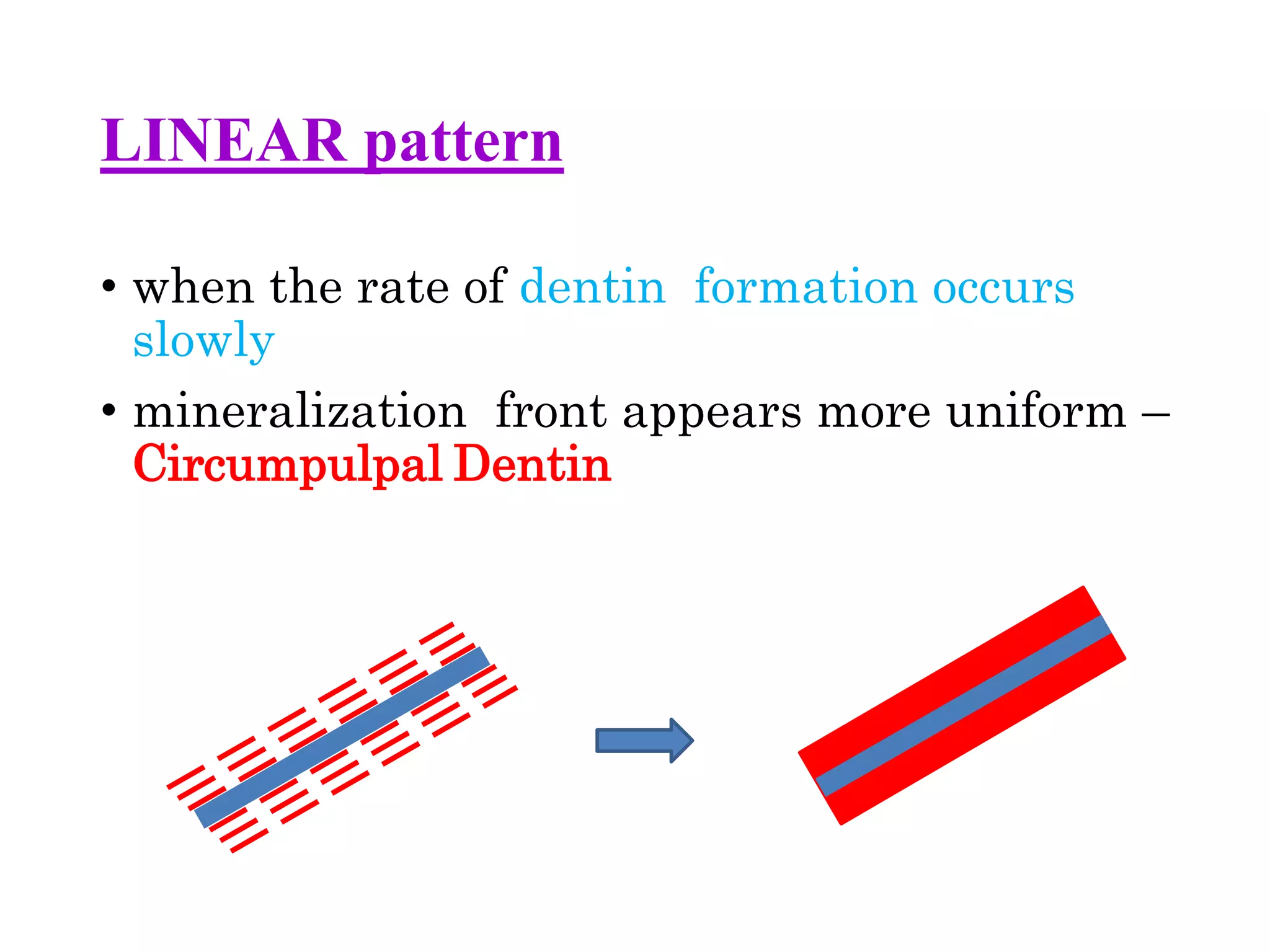 Structure of dentine | PPTX