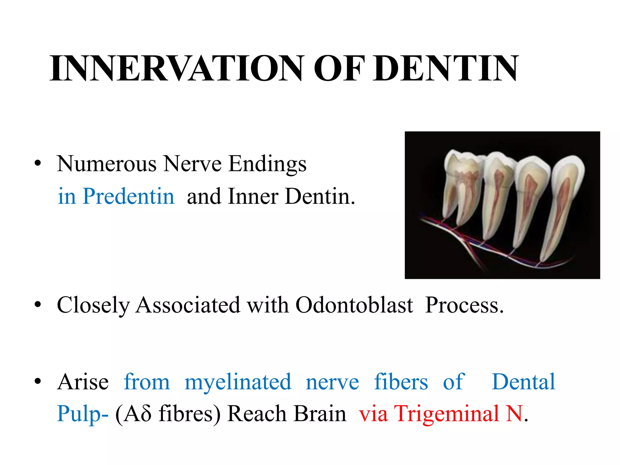 Structure of dentine | PPTX
