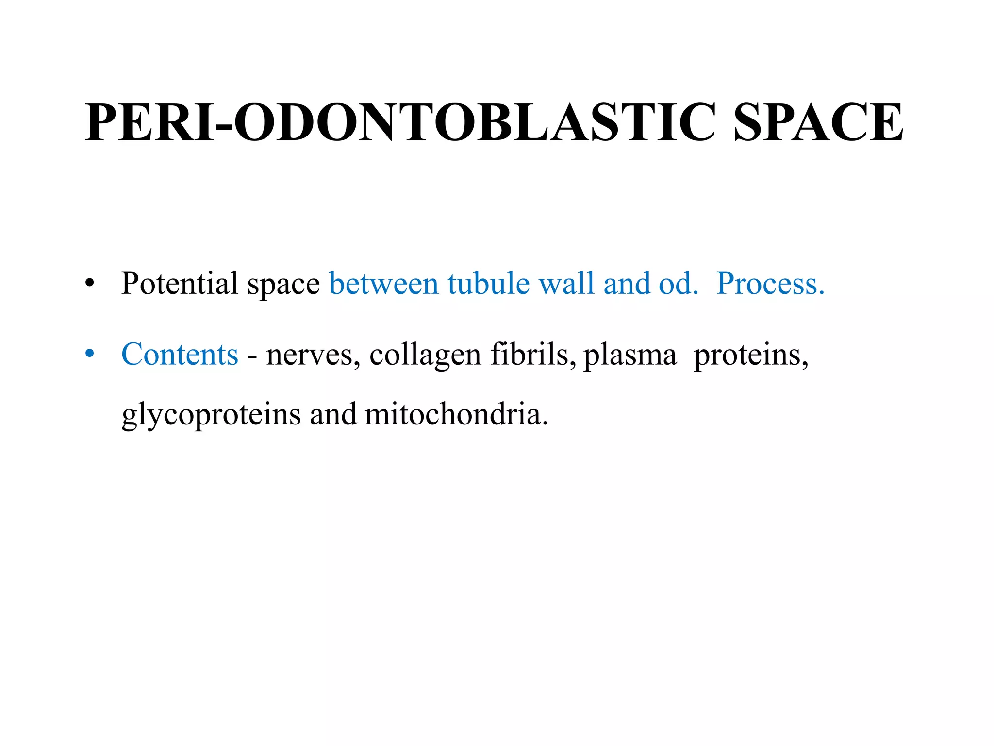 Structure of dentine | PPTX