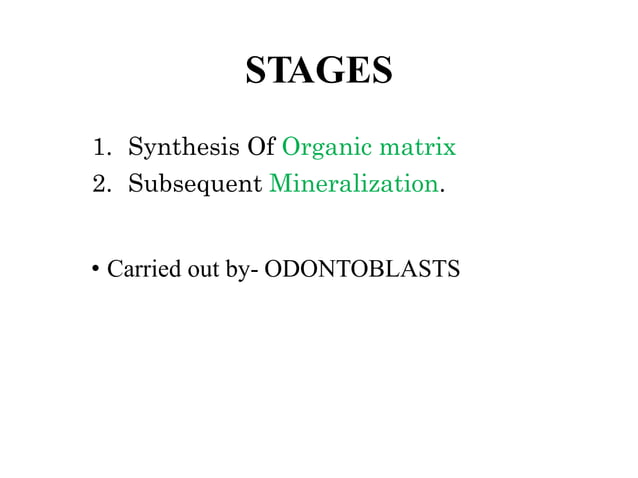 Structure of dentine | PPTX