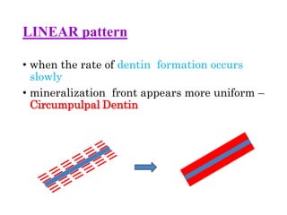 Structure of dentine | PPTX