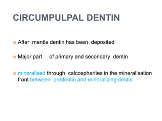 Structure of dentine | PPTX