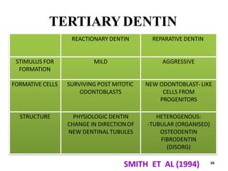 Structure of dentine | PPTX