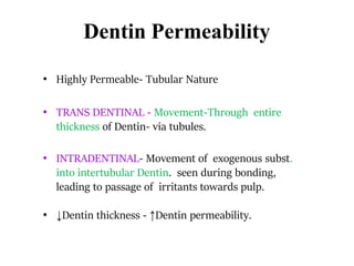Structure of dentine | PPTX