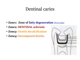Structure of dentine | PPTX