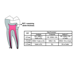 Structure of dentine | PPTX