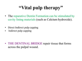 Structure of dentine | PPTX