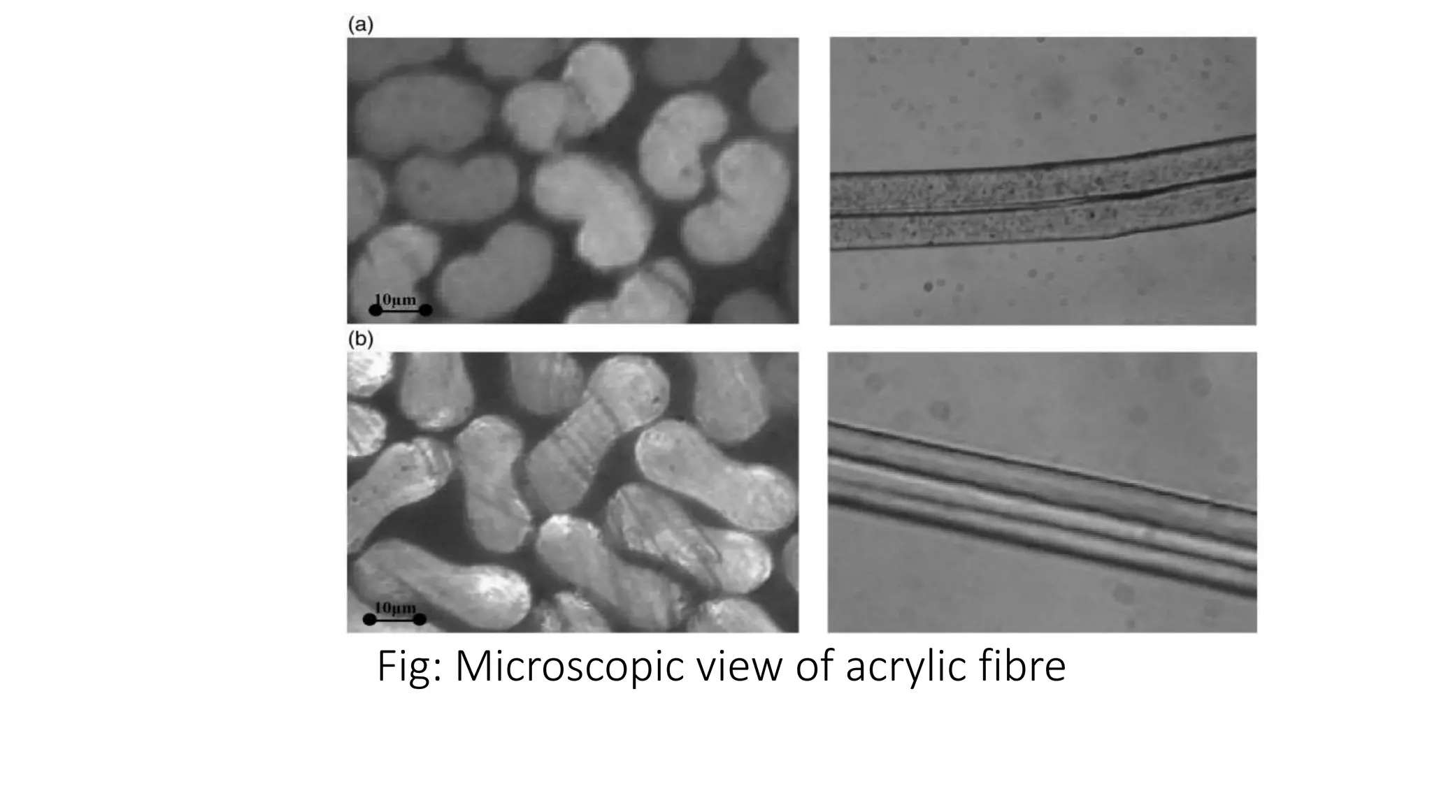 STRUCTURE OF DIFFERENT FIBRE.pptx