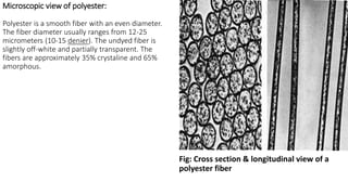 STRUCTURE OF DIFFERENT FIBRE.pptx