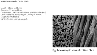 STRUCTURE OF DIFFERENT FIBRE.pptx