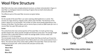 STRUCTURE OF DIFFERENT FIBRE.pptx