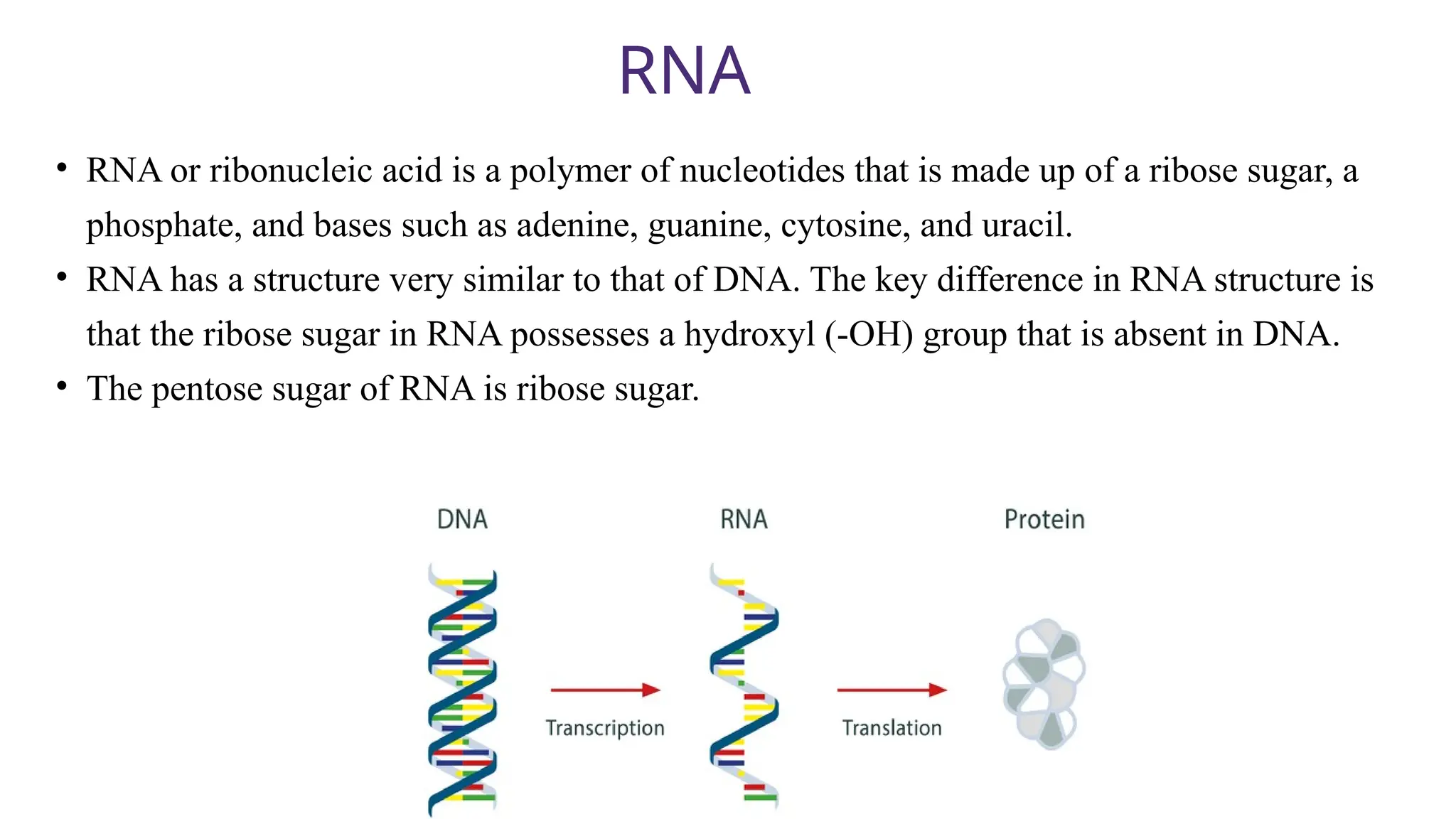 Structure of different type of RNA (1).pptx