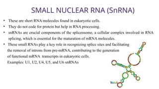 Structure of different type of RNA (1).pptx