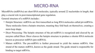 Structure of different type of RNA (1).pptx