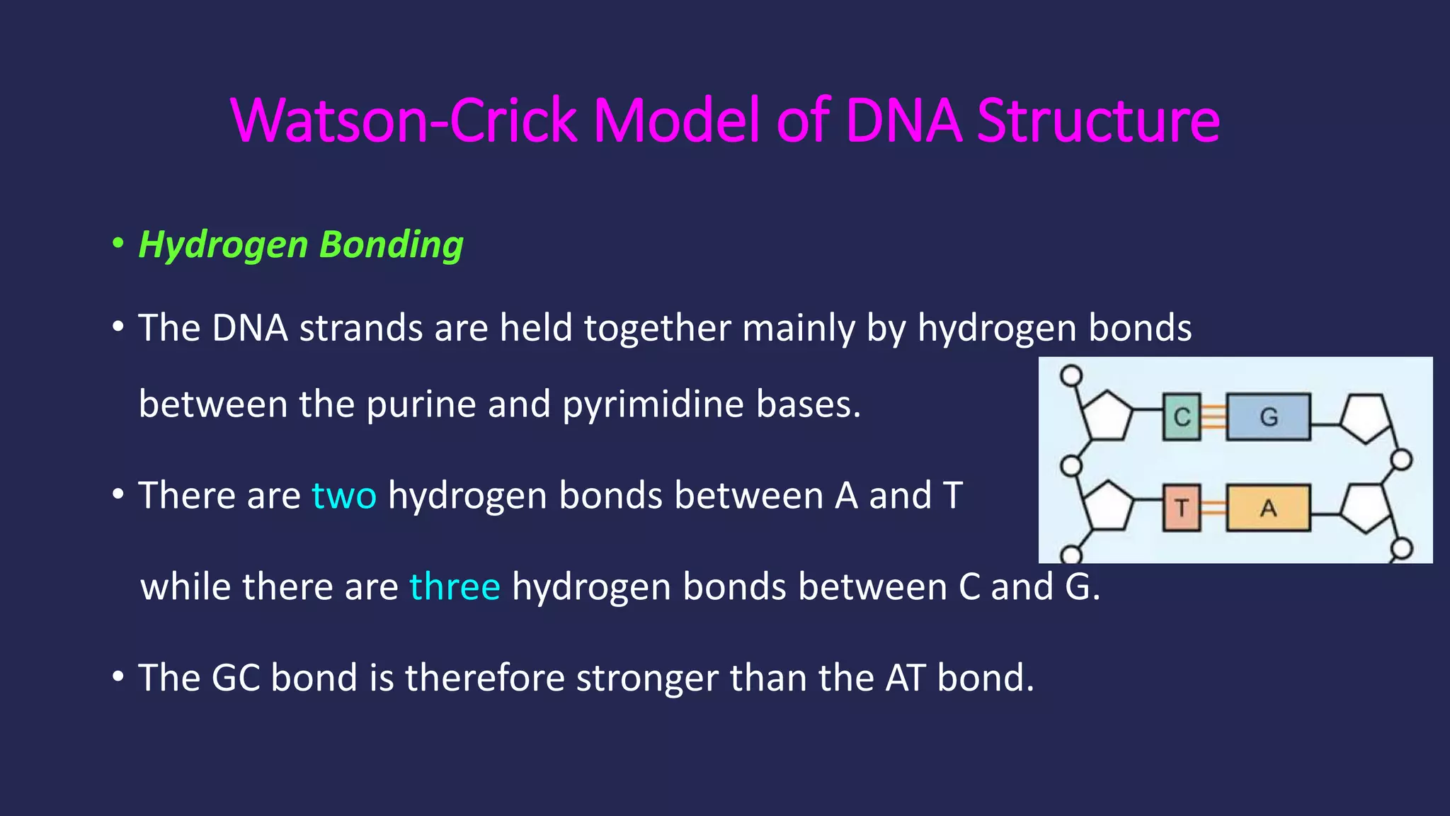 Structure of DNA | PPTX
