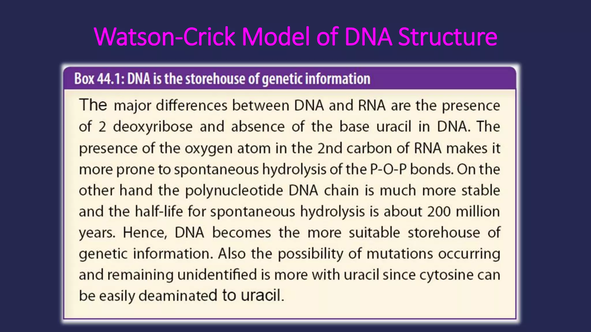 Structure of DNA | PPTX