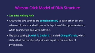 Structure of DNA | PPTX