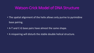 Structure of DNA | PPTX