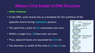 Structure of DNA | PPTX