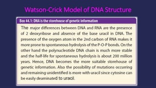 Structure of DNA | PPTX
