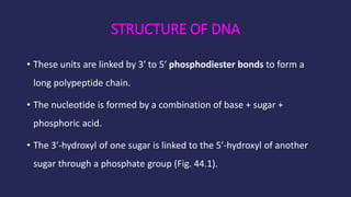 Structure of DNA | PPTX